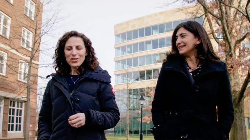 Harvard Fake Data Scandal Reddit: Is Francesca Gino Fired? - NAYAG Spot